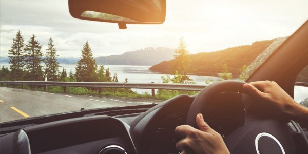 About the restricted licence