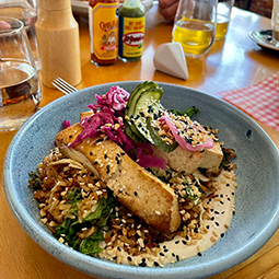 Gisborne: sunshine, surf and stingrays