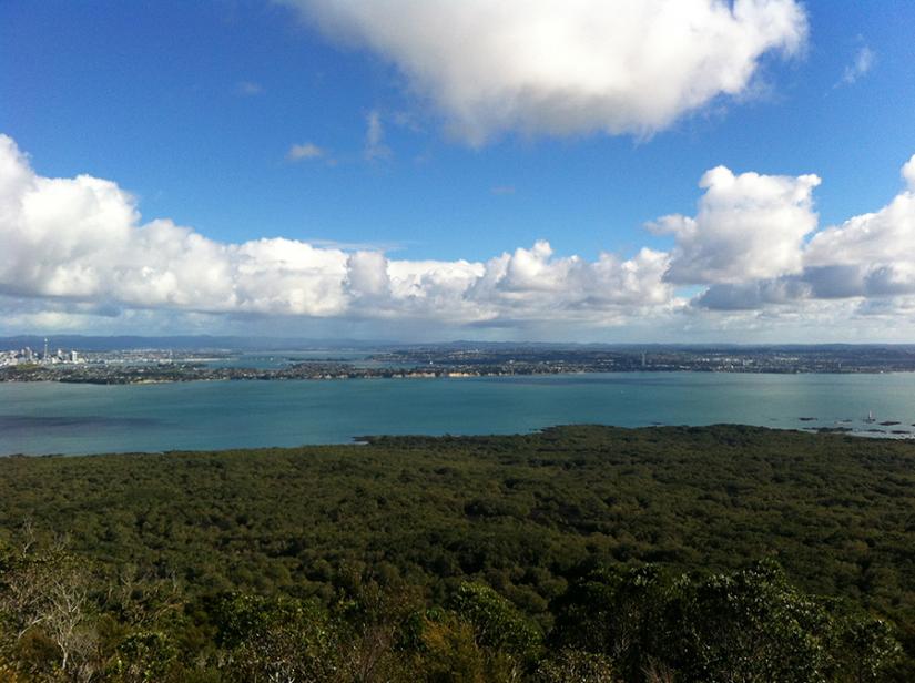 Rangitoto Island summit walks