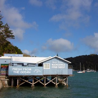 Road Trip: Auckland to Northland's Matai Bay