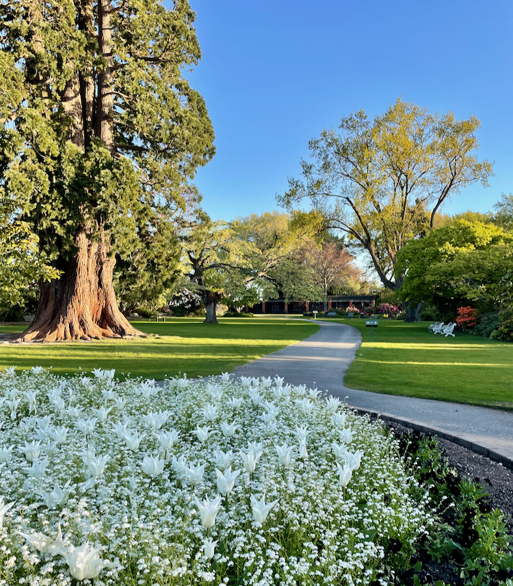 Five fun things to do in Gore