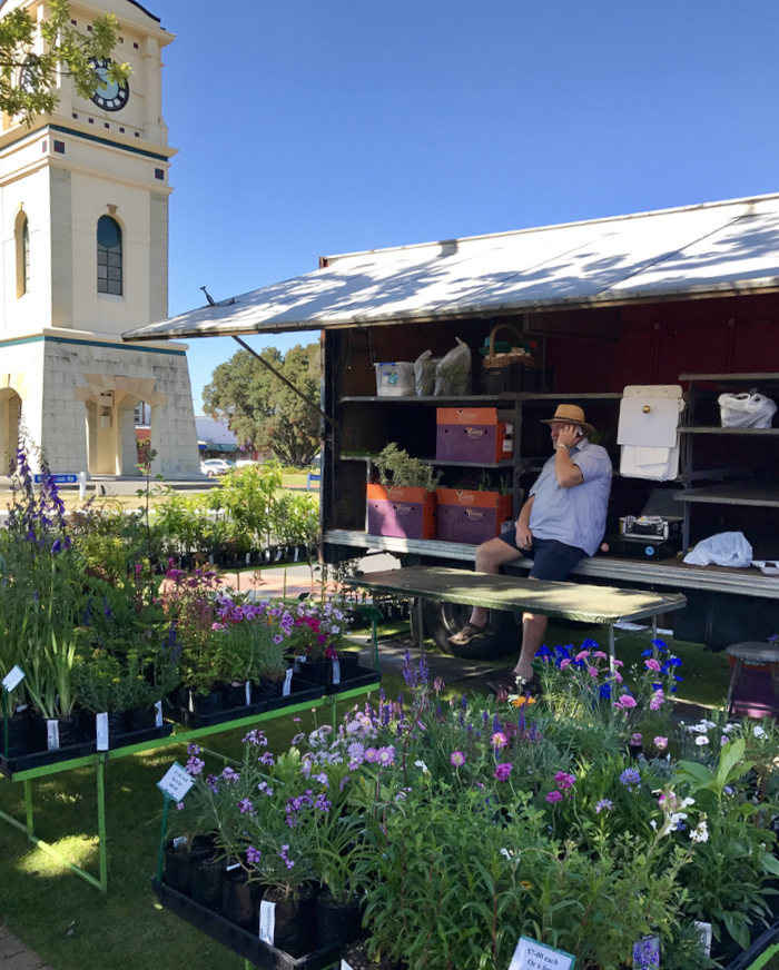 Four fun things to do in Feilding